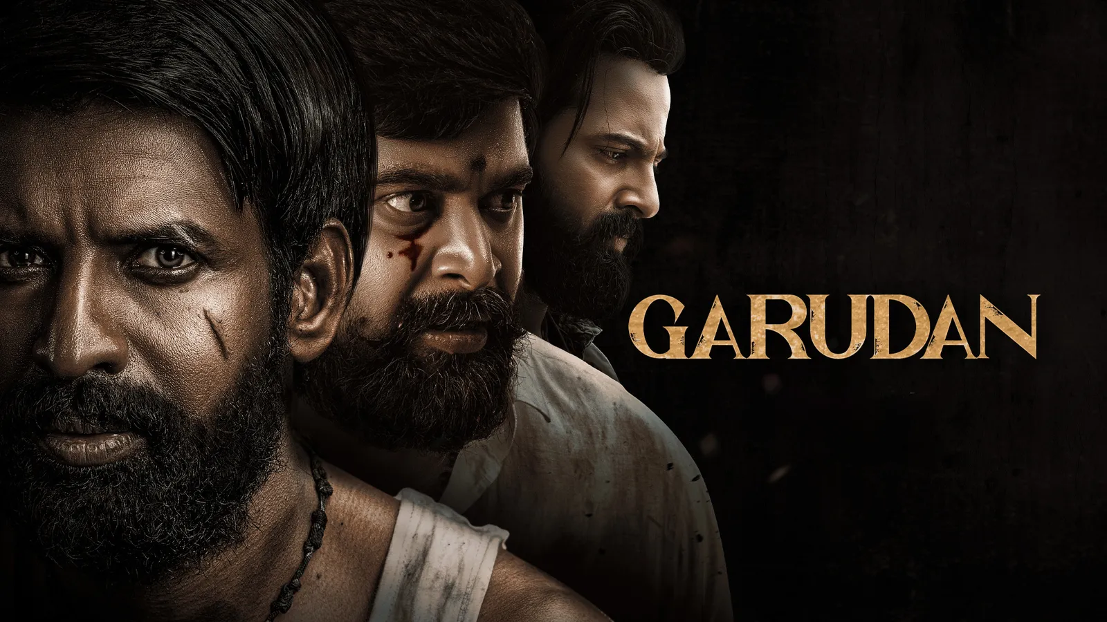 Garudan 2024 Full Movie Online - Watch HD Movies on Airtel Xstream Play