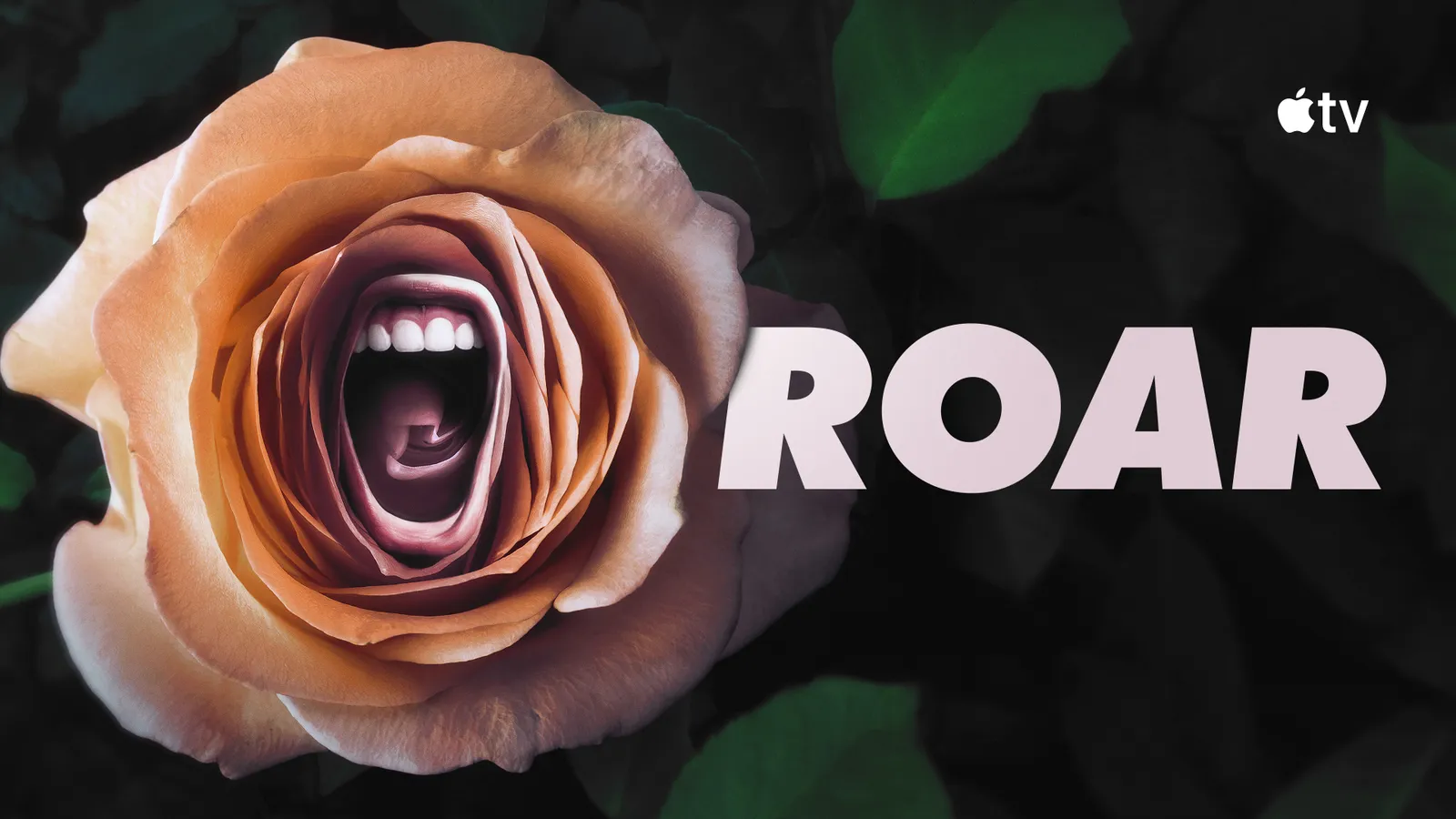 Watch Roar TV Show Latest Episodes Online at Airtel Xstream Play
