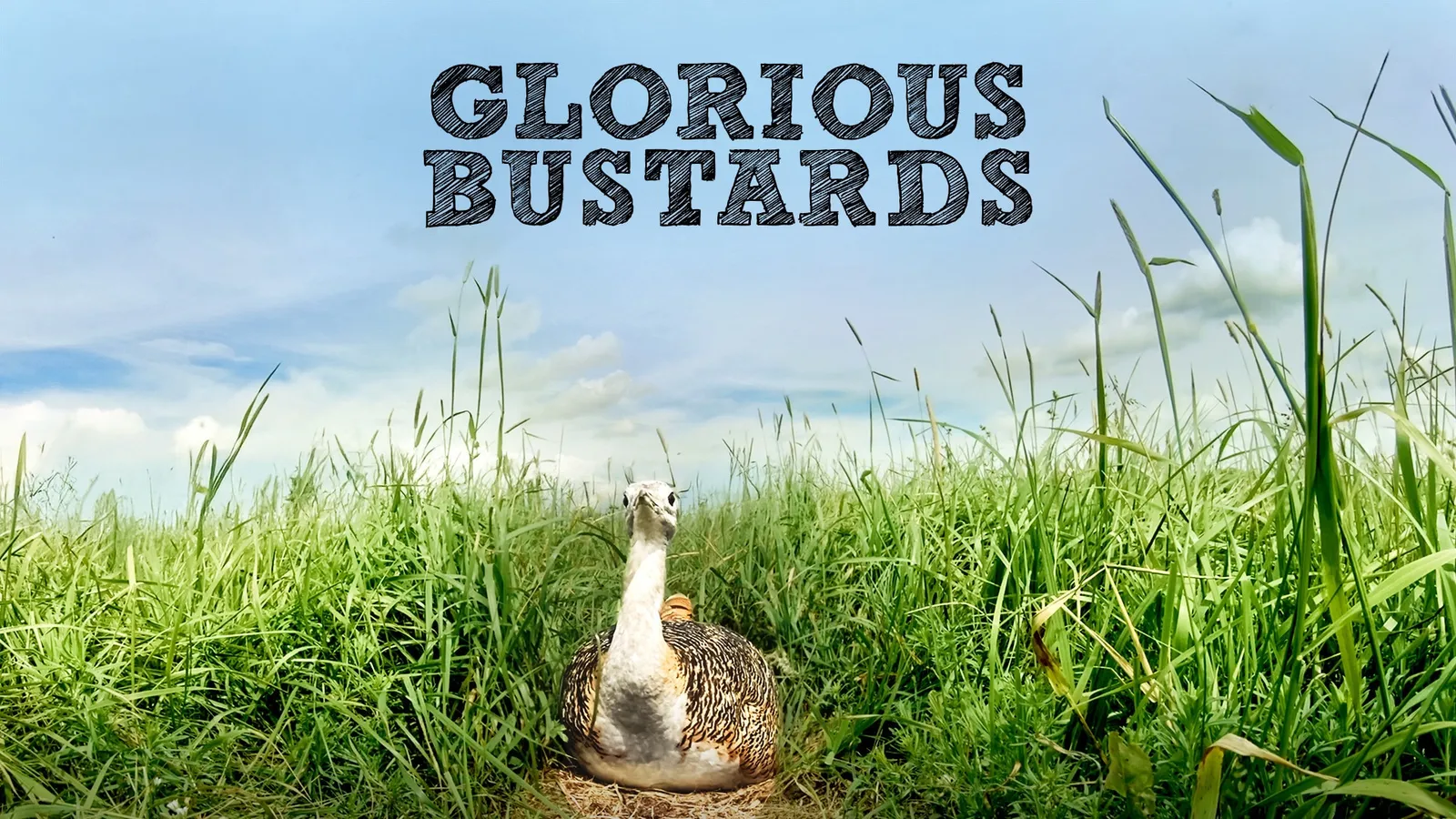 GLORIOUS BUSTARDS 2025 Full Movie Online - Watch HD Movies on Airtel ...