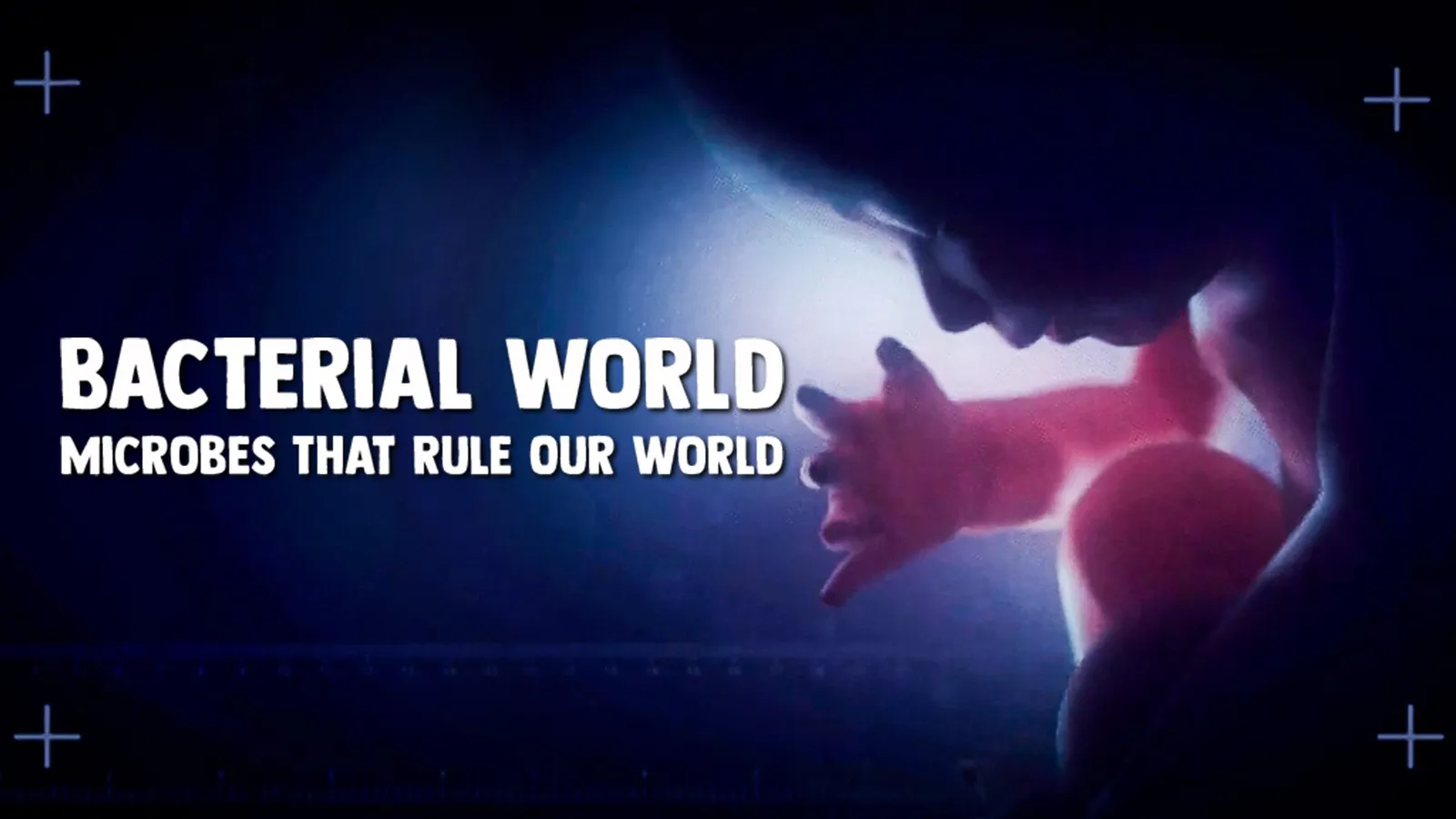 Bacterial World - Microbes That Rule Our World 2025 Full Movie Online ...