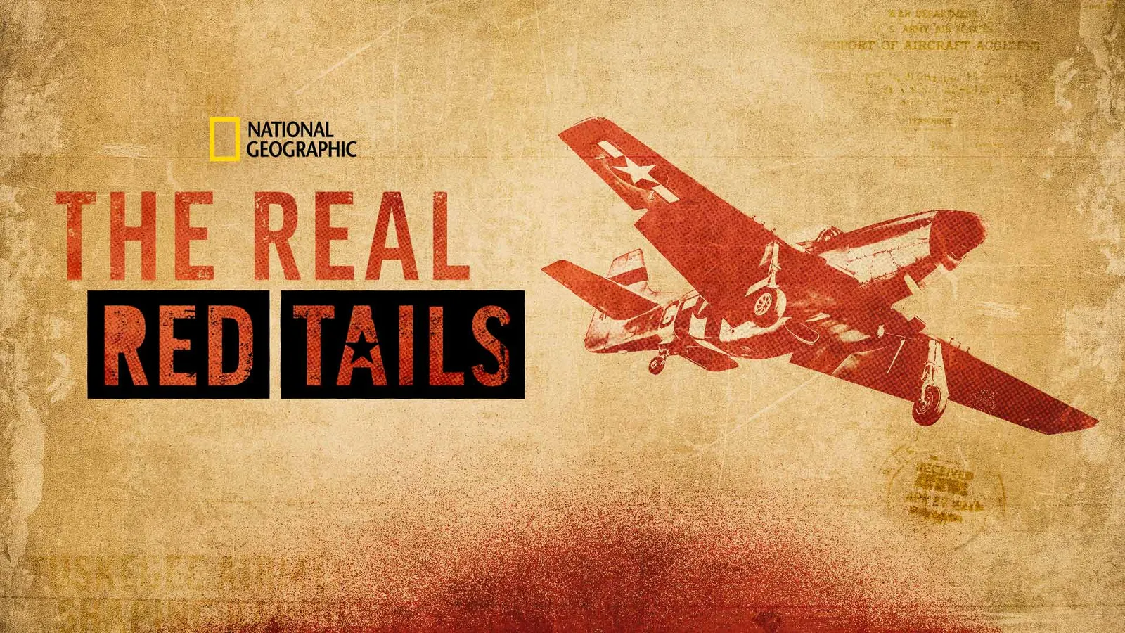 The Real Red Tails 2024 Full Movie Online - Watch HD Movies on Airtel ...