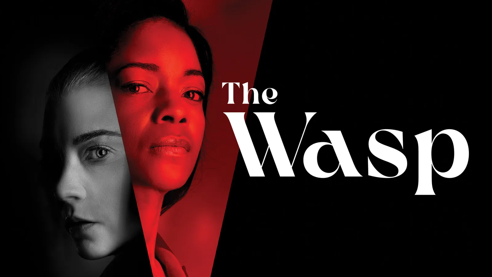 The Wasp 2024 Full Movie Online - Watch HD Movies on Airtel Xstream Play