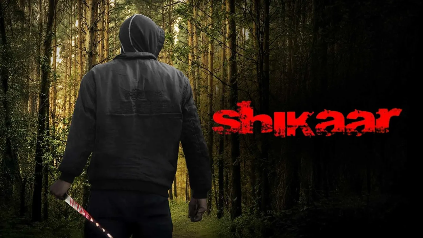 Shikaar A Murder Mystery 2012 Full Movie Online - Watch HD Movies on ...