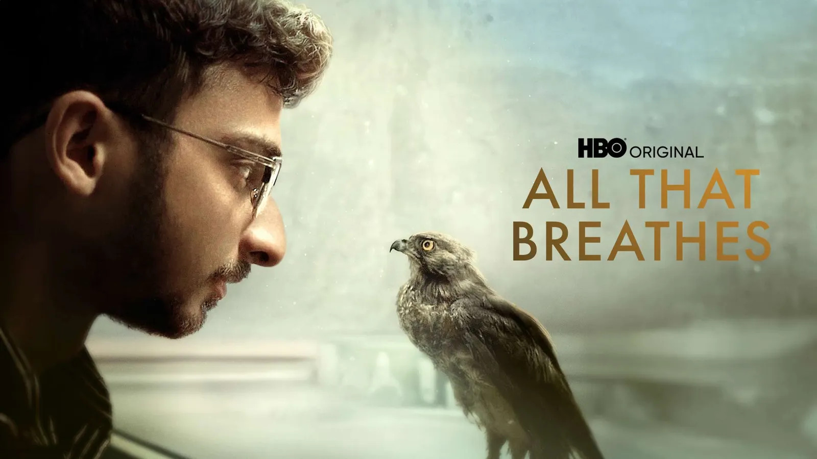 All That Breathes 2022 Full Movie Online - Watch HD Movies on Airtel ...