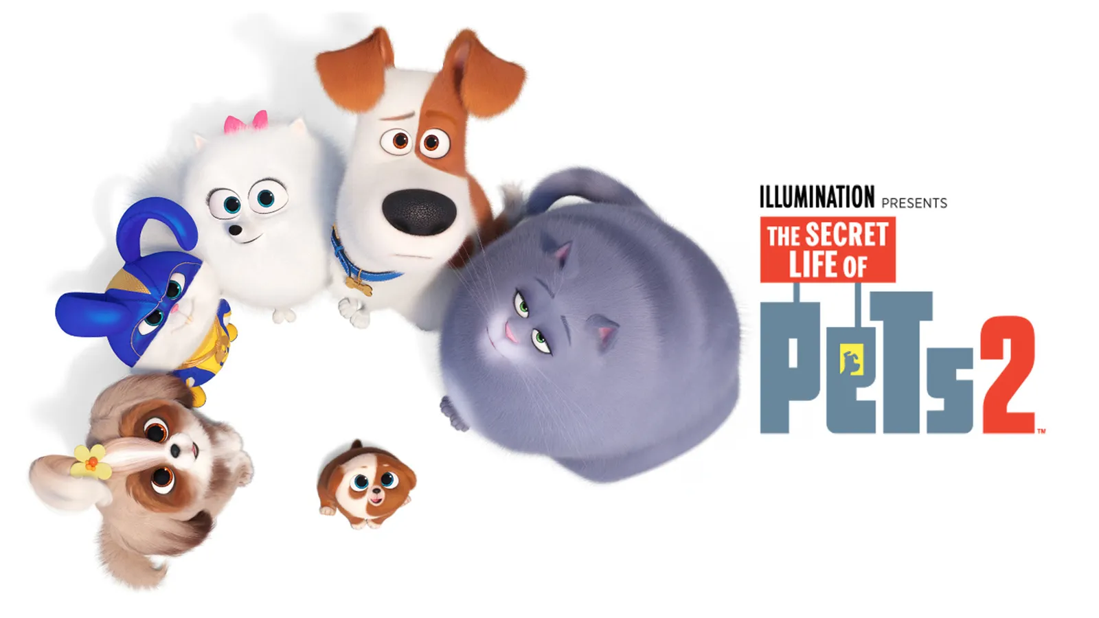 The Secret Life of Pets 2 2019 Full Movie Online - Watch HD Movies on ...