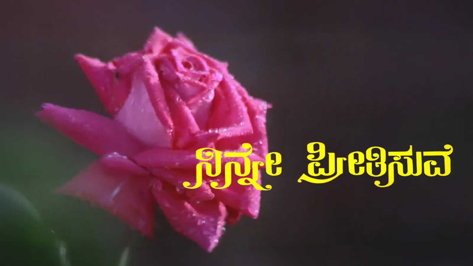 Ninne Preethisuve 2021 Full Movie Online - Watch HD Movies on Airtel ...