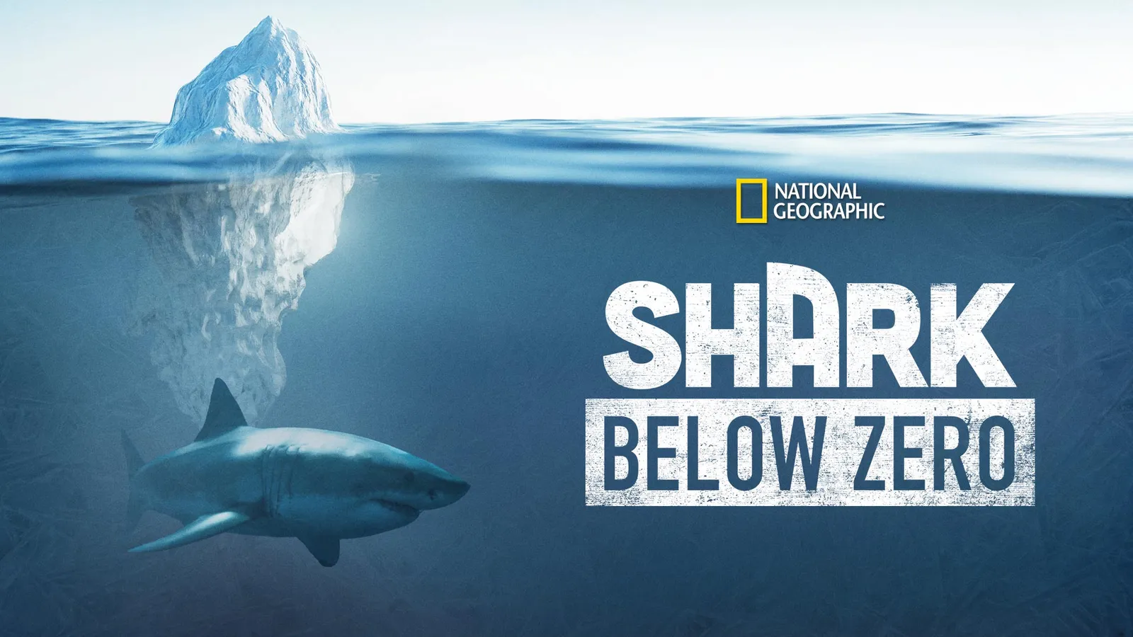 Shark Below Zero 2023 Full Movie Online - Watch HD Movies on Airtel Xstream Play