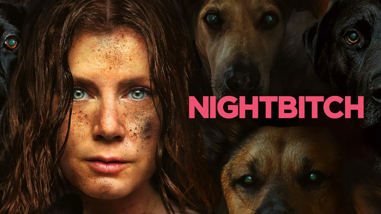 Nightbitch 2024 Full Movie Online - Watch HD Movies on Airtel Xstream Play