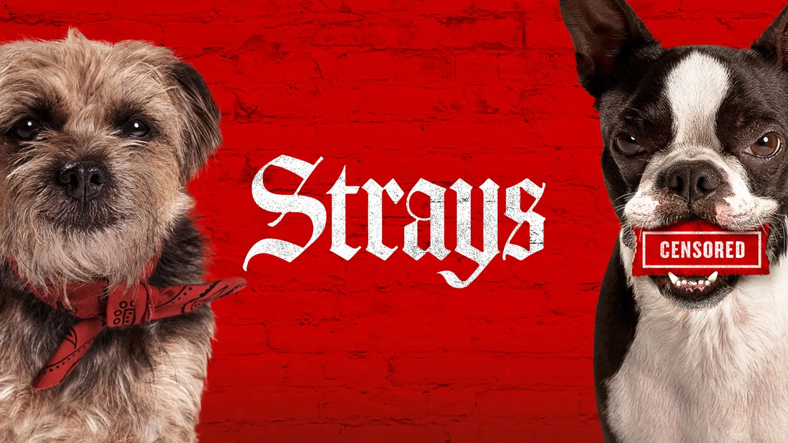 Strays 2023 Full Movie Online - Watch HD Movies on Airtel Xstream Play