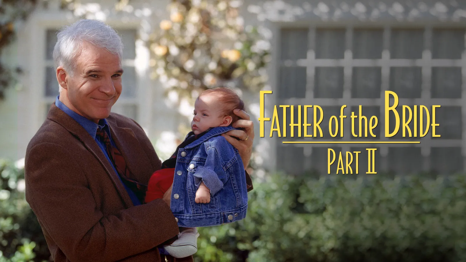 Father Of The Bride II 1995 Full Movie Online - Watch HD Movies on ...
