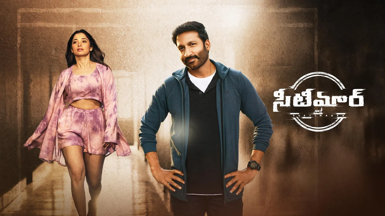 Seetimaarr 2021 Full Movie Online - Watch HD Movies on Airtel Xstream Play