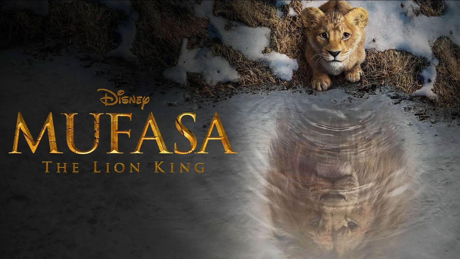 Watch & Download Mufasa: The Lion King 2024 Full HD Movie Online ...