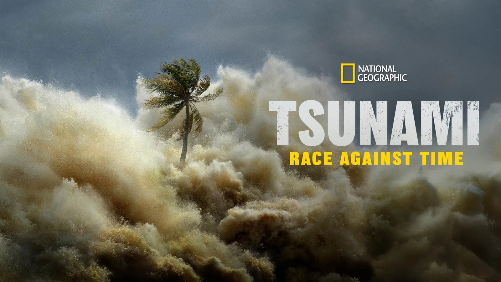 Watch Tsunami: Race Against Time Full HD TV Show Online | Airtel ...