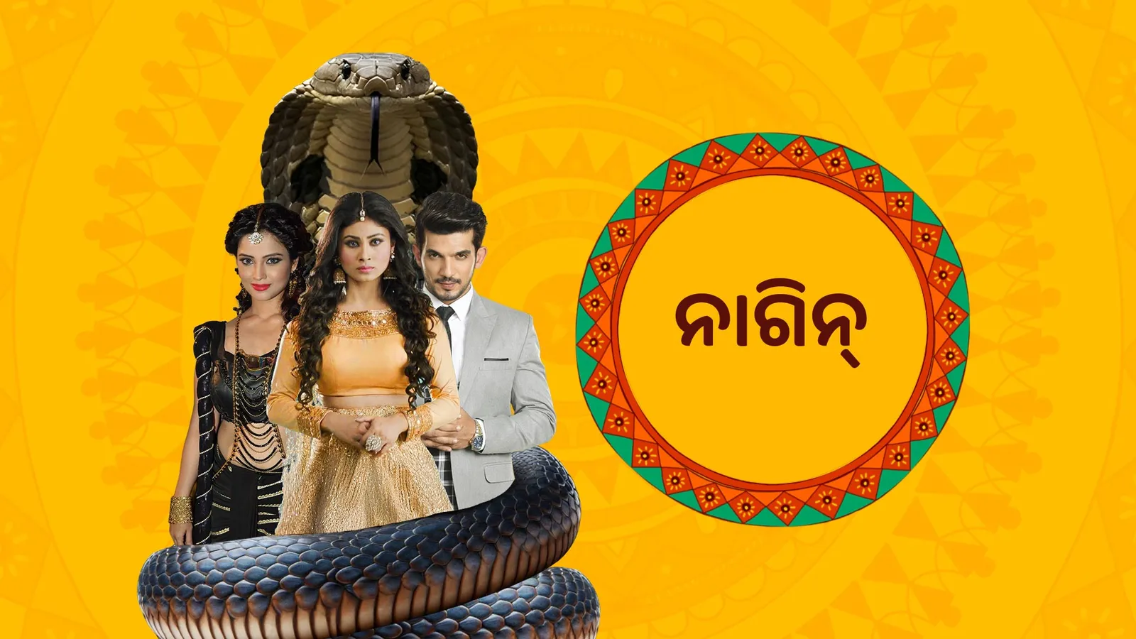 Watch Nagin Full HD TV Show Online | Airtel Xstream Play