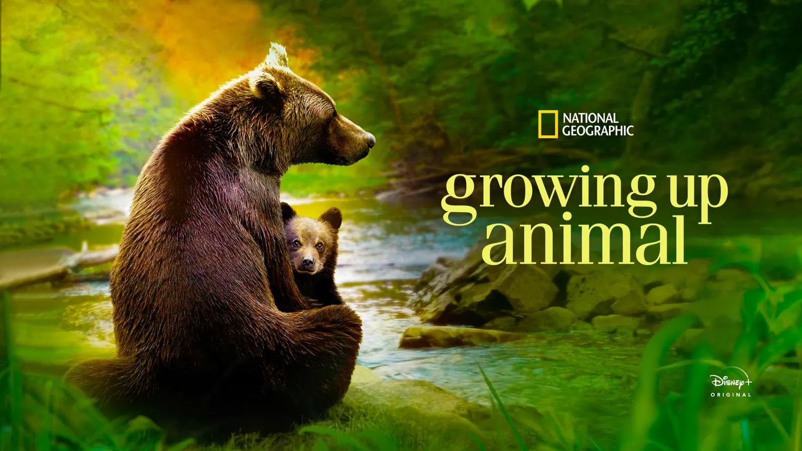 Growing Up Animal TV Show: Watch Latest Episodes Online | Airtel ...
