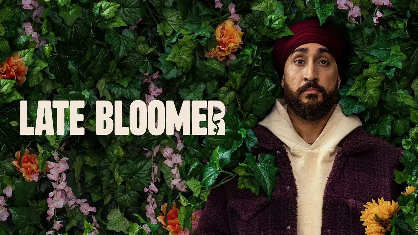 Watch Late Bloomer Full HD TV Show Online | Airtel Xstream Play