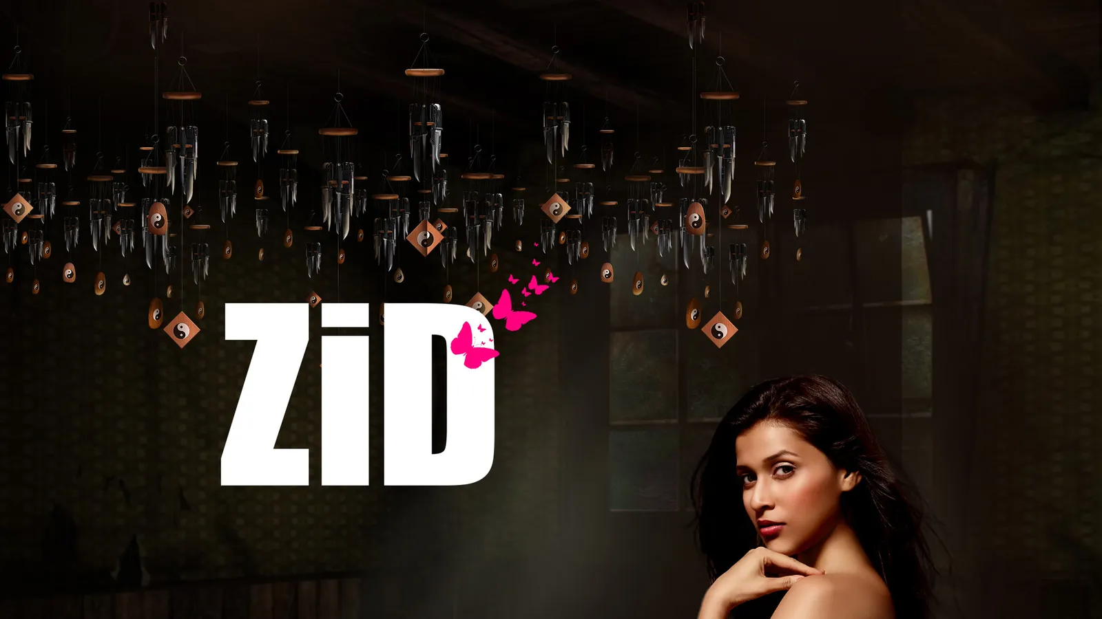 Zid 2014 Full Movie Online - Watch HD Movies on Airtel Xstream Play
