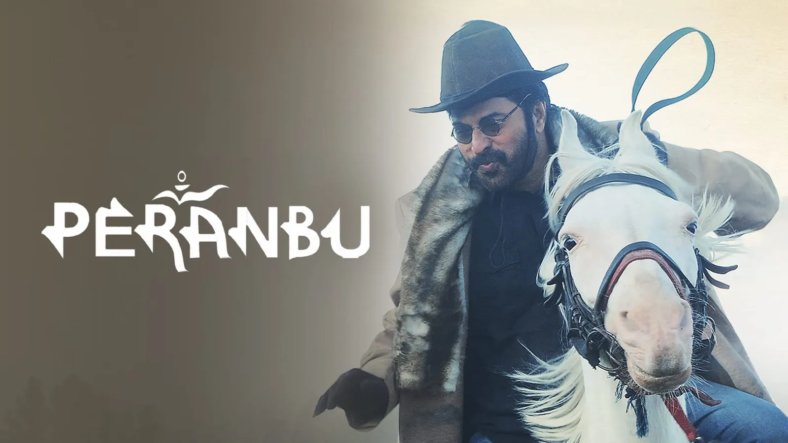 Peranbu (Tamil) 2019 Full Movie Online - Watch HD Movies on Airtel Xstream Play