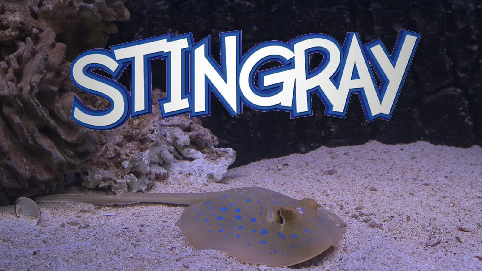 STINGRAY 2006 Full Movie Online - Watch HD Movies on Airtel Xstream Play