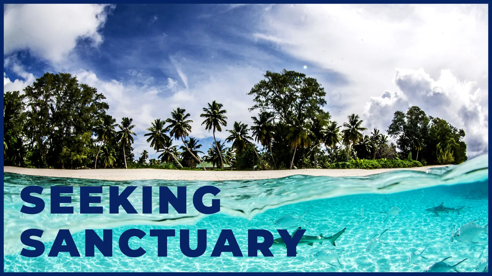 SEEKING SANCTUARY 2017 Full Movie Online - Watch HD Movies on Airtel Xstream Play