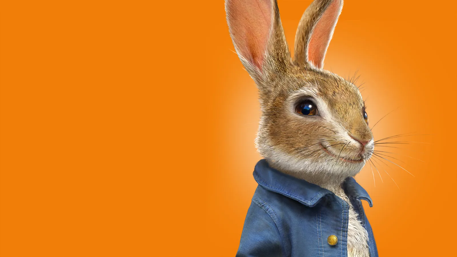 Peter Rabbit 2018 Full Movie Online - Watch HD Movies on Airtel Xstream ...