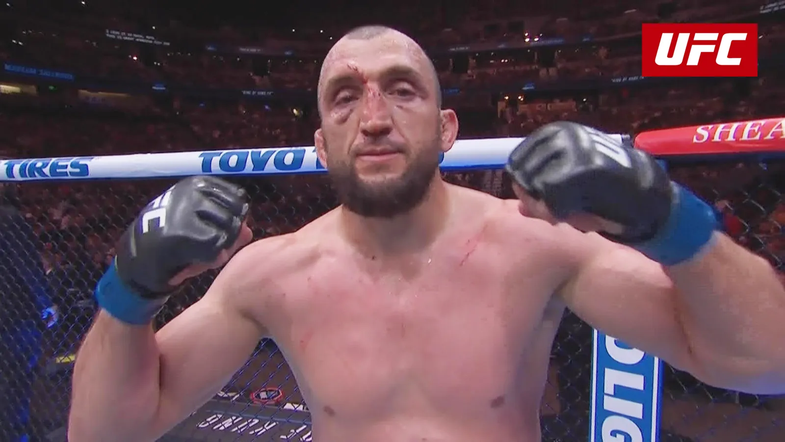 HLS - UFC Fight Night - Santiago vs Salikhov - 14 Jul 2024