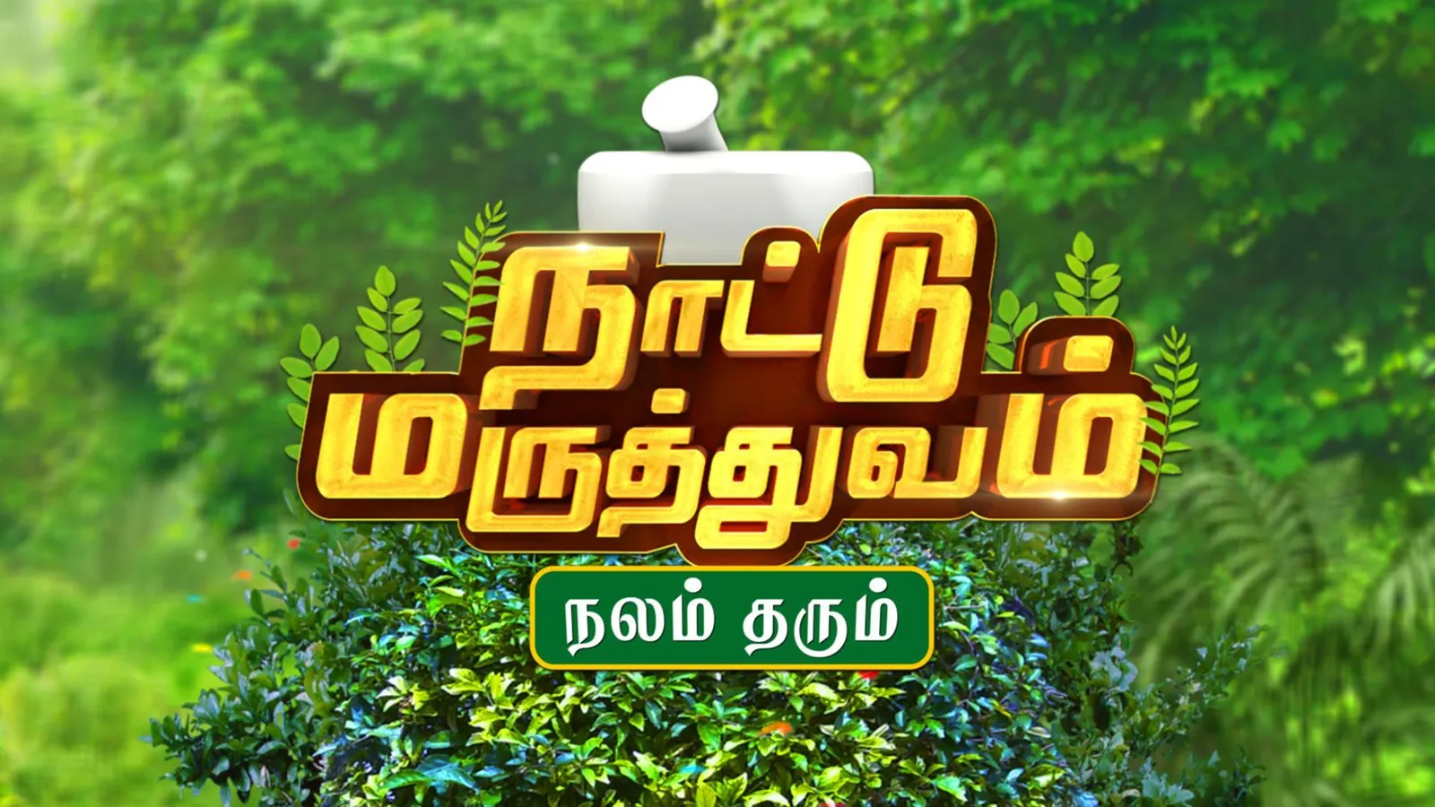 Watch Naattu Maruthuvam Full HD TV Show Online | Airtel Xstream Play