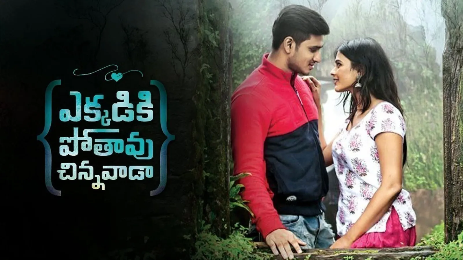 Ekkadiki Pothavu Chinnavada 2016 - Watch Ekkadiki Pothavu Chinnavada ...