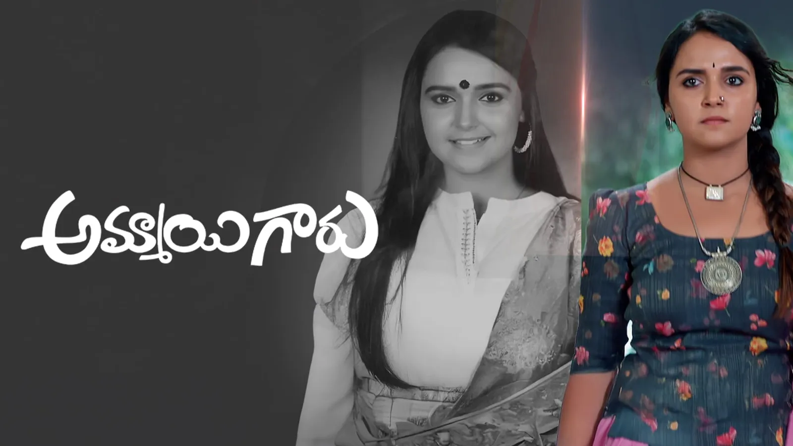 Ammayi Garu TV Show: Watch Ammayi Garu TV Show All Latest Episodes ...