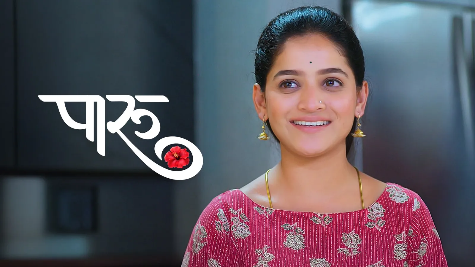 Watch Paaru Full HD TV Show Online | Airtel Xstream Play