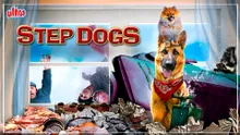 Step Dogs 2014 Full Movie Online - Watch HD Movies on Airtel Xstream Play