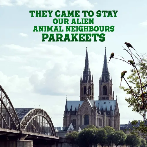 Watch & Download They Came to Stay Our Alien Animal Neighbours ...