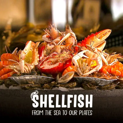 Shellfish: From The Sea To Our Plates 2025 - Watch Shellfish: From The ...
