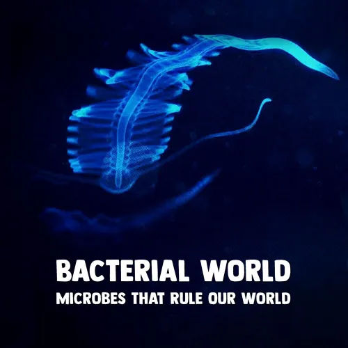 Bacterial World - Microbes That Rule Our World 2025 Full Movie Online ...