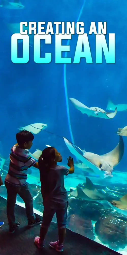 Watch & Download Creating An Ocean Full HD Movie Online | Xstream Play