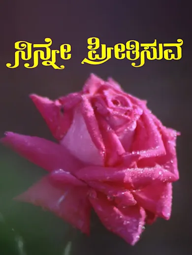 Ninne Preethisuve 2021 Full Movie Online - Watch HD Movies on Airtel ...
