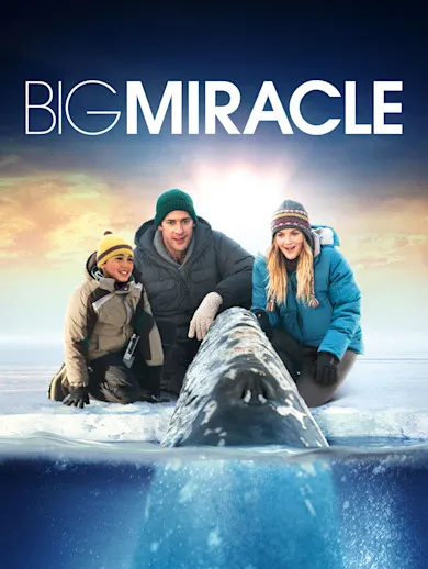 Big Miracle 2012 Full Movie Online - Watch HD Movies on Airtel Xstream Play