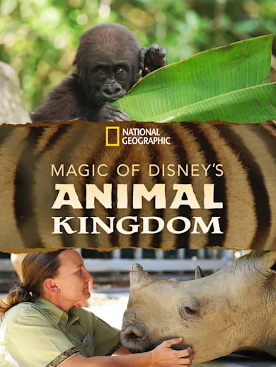 Magic of Disney's Animal Kingdom TV Show: Watch Latest Episodes Online ...