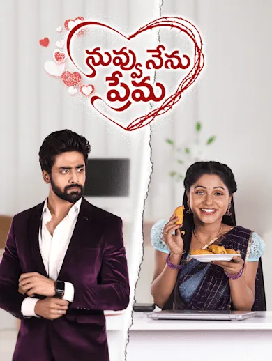 Watch Nuvvu Nenu Prema Full HD TV Show Online | Airtel Xstream Play