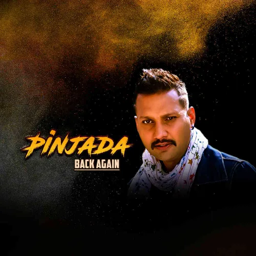 Pinjada Back Again 2018 Full Movie Online - Watch HD Movies on Airtel ...