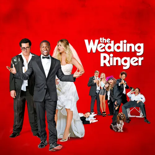 The Wedding Ringer 2015 Full Movie Online - Watch HD Movies on Airtel ...