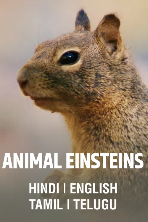 Watch Animal Einsteins TV Show Latest Episodes Online at Airtel Xstream ...