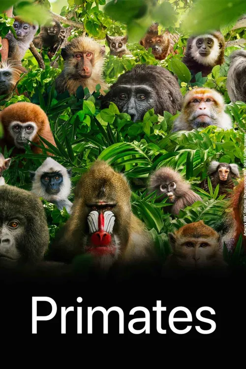Watch Primates TV Show Latest Episodes Online at Airtel Xstream Play
