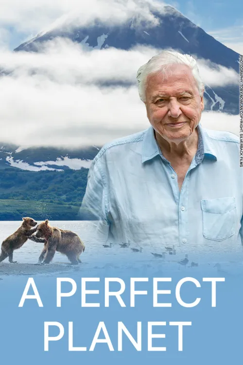 Watch A Perfect Planet TV Show Latest Episodes Online at Airtel Xstream ...