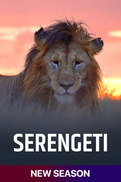 Watch Serengeti Full HD TV Show Online | Airtel Xstream Play